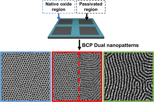 Publication > Journals > Fabrication of Dual Nanopatterns by Spatial Control of Nanodomain ...